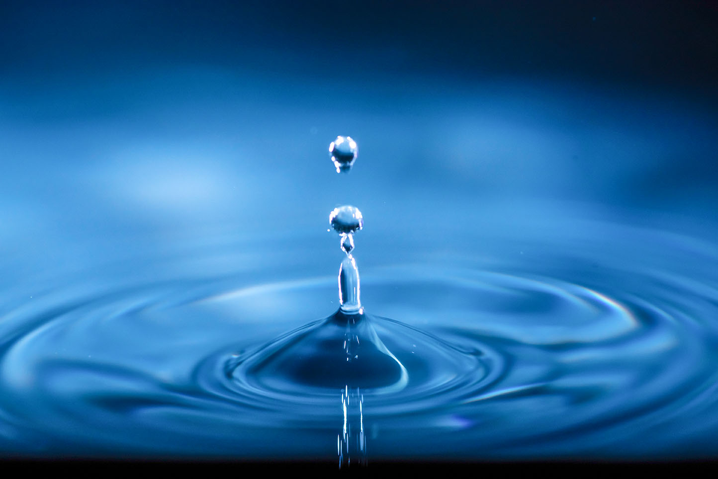 How does a sprinkler work? - Safeguard Sprinkler Systems